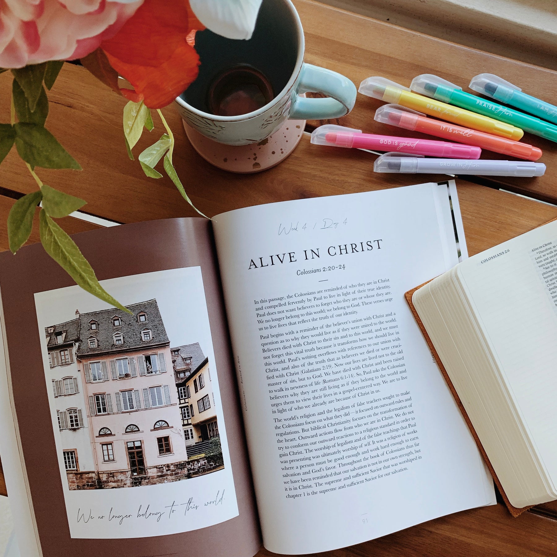 Colossians - Rooted in Him | TDGC – The Daily Grace Co.