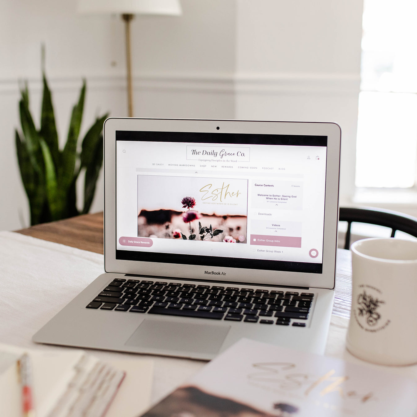 Esther Group Leader Kit | Guide & Videos – The Daily Grace Co.