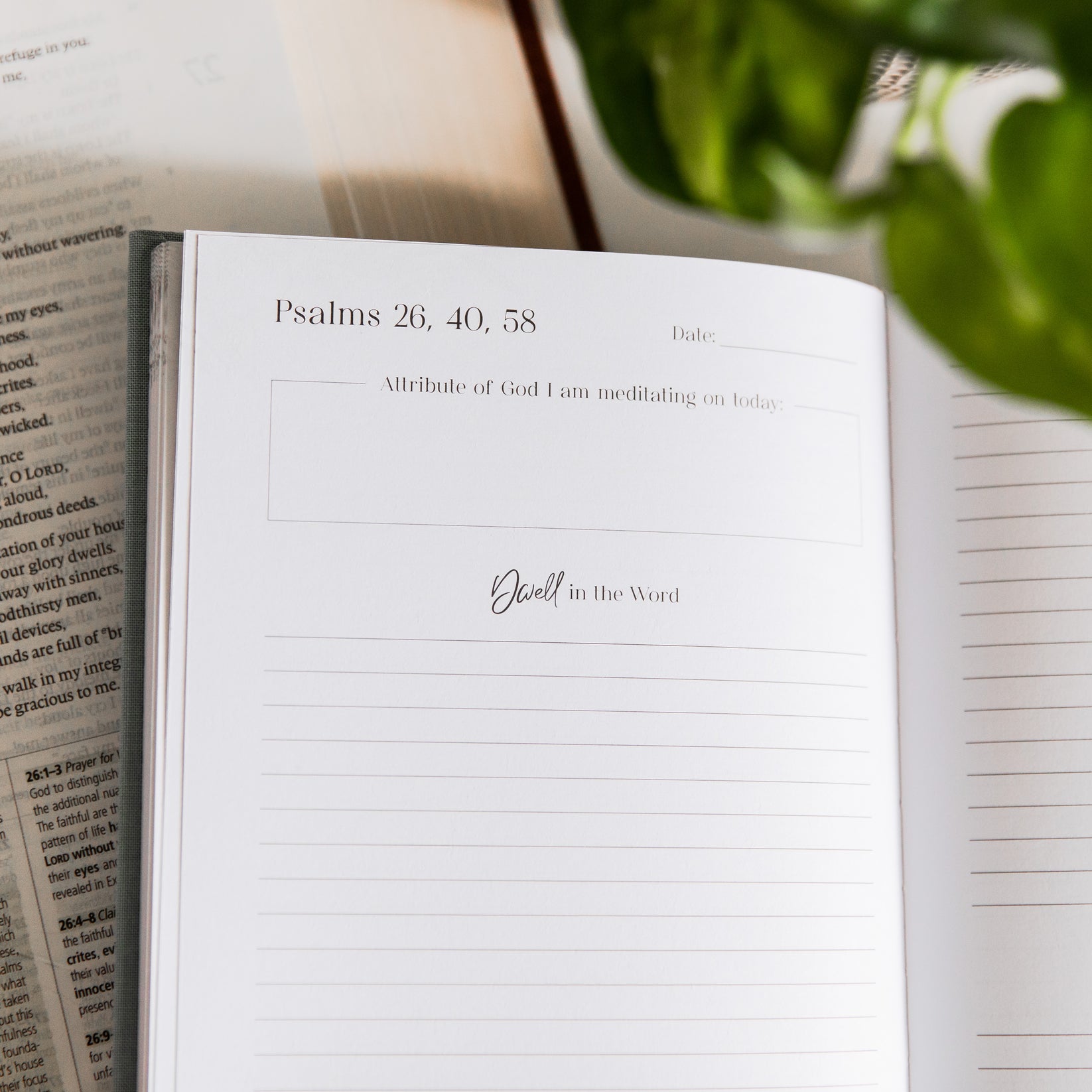 Eden to Eternity Journal | Vol. 2 – The Daily Grace Co.