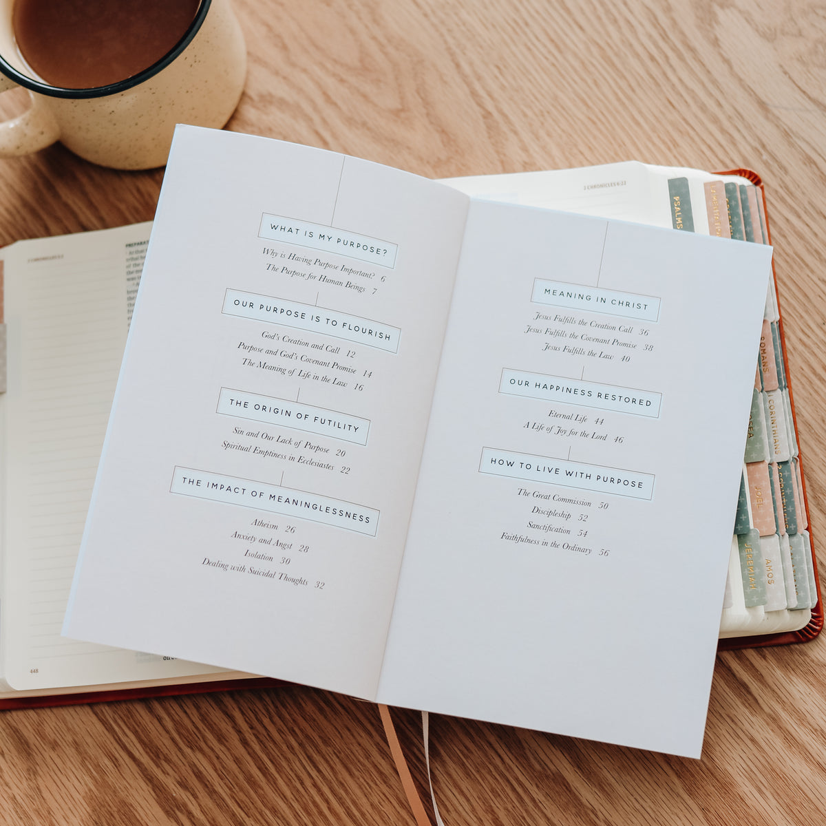 Faith Questions - Purpose – The Daily Grace Co.