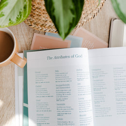 Faith Foundations for Teens | A Study on the Basics of Christianity ...