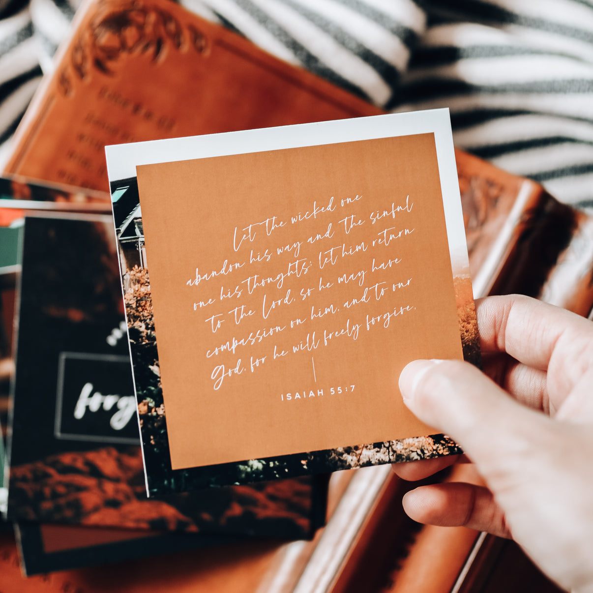 Forgiveness Verse Card Set – The Daily Grace Co.
