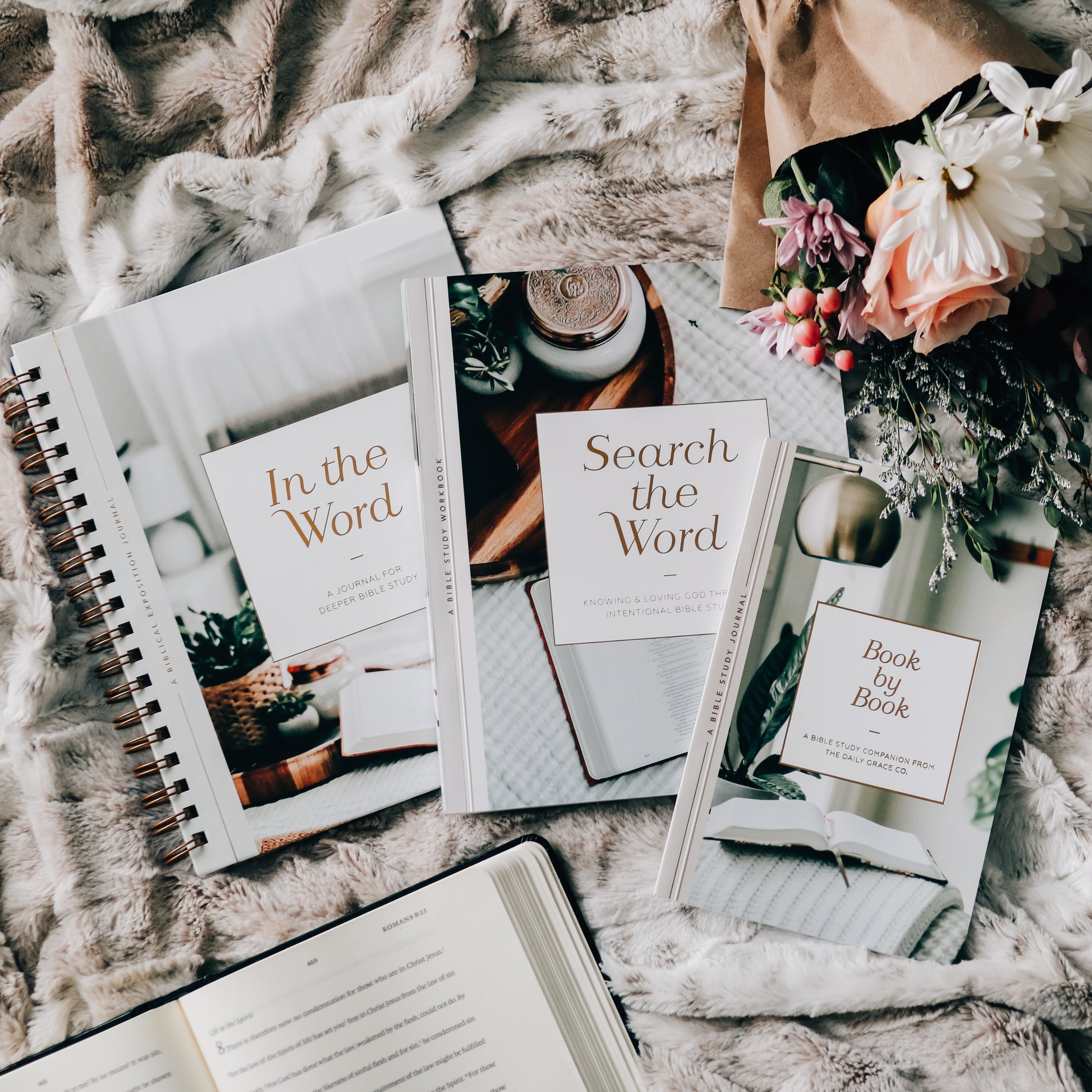 Search The Word Collection The Daily Grace Co search-the-word-collection-the-daily-grace-co