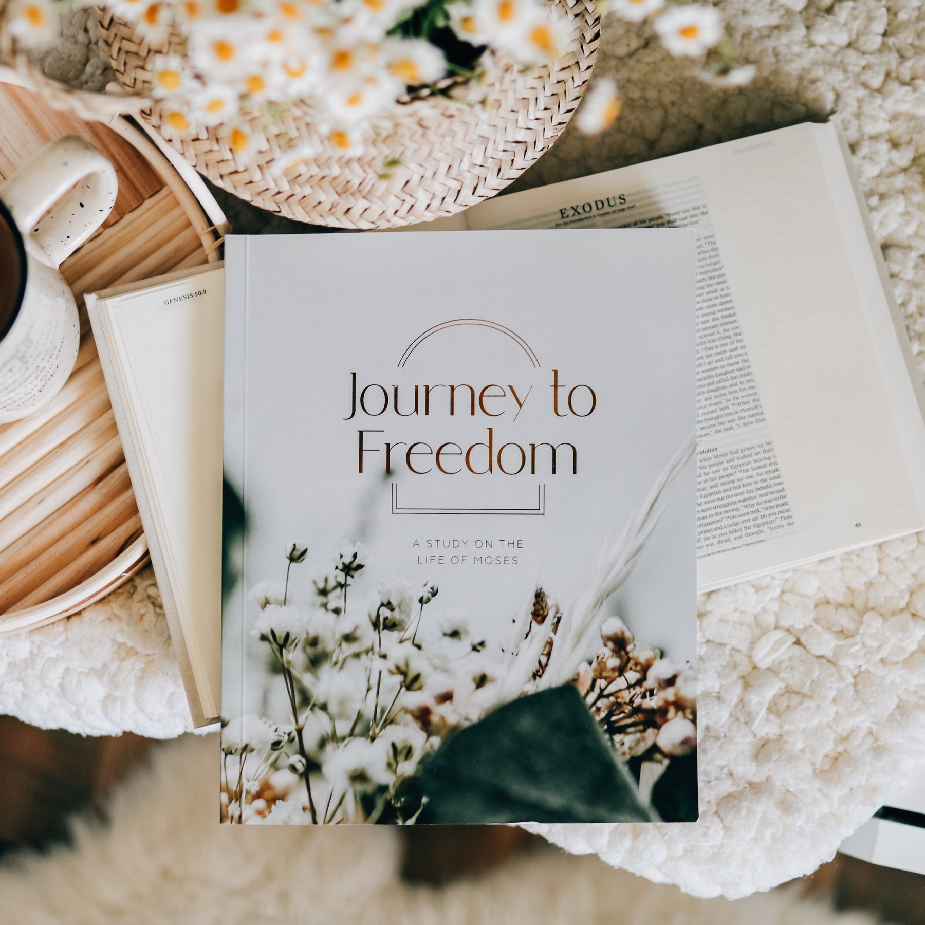 Journey to Freedom | The Life of Moses | TDGC – The Daily Grace Co.