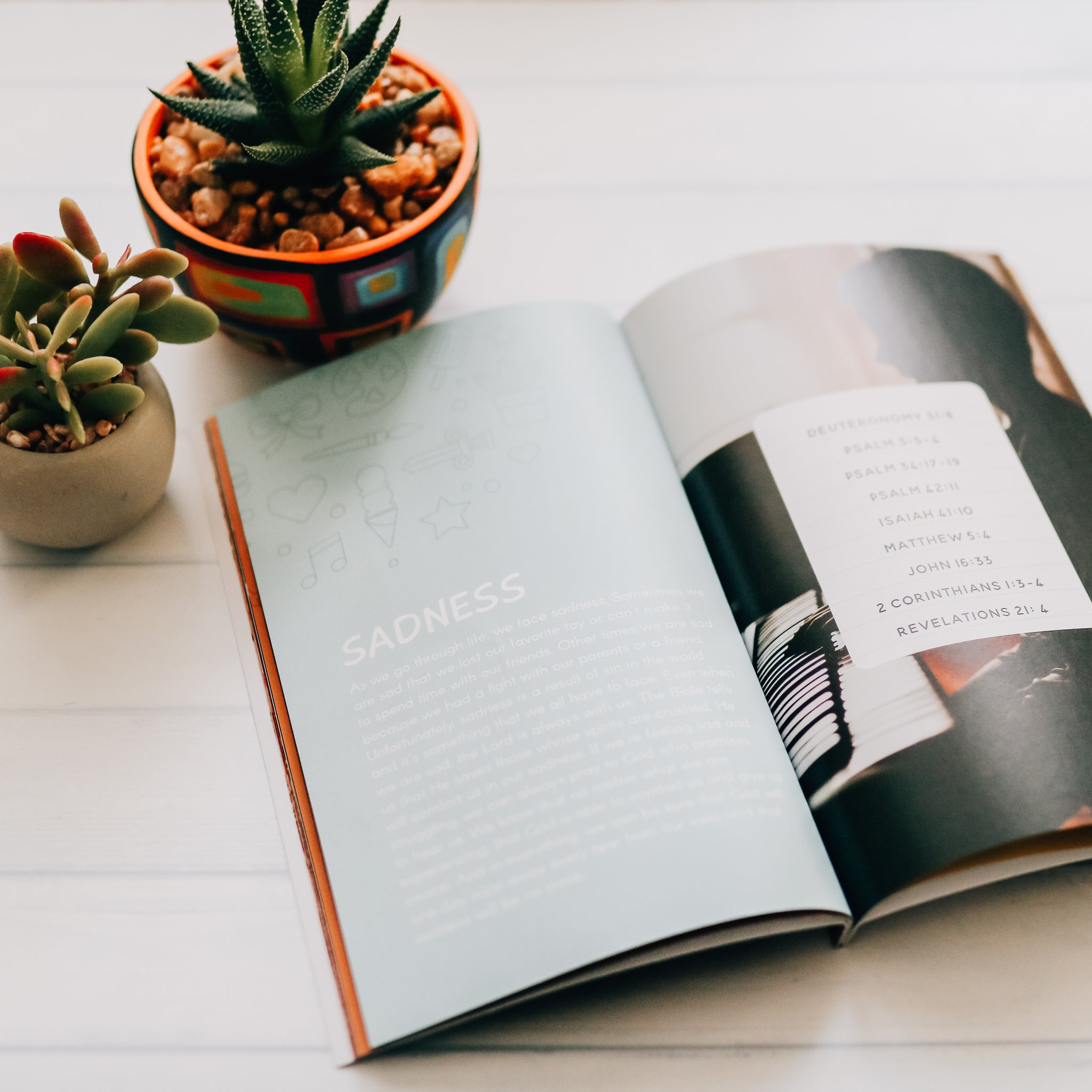 Daily Truth - For Kids – The Daily Grace Co.