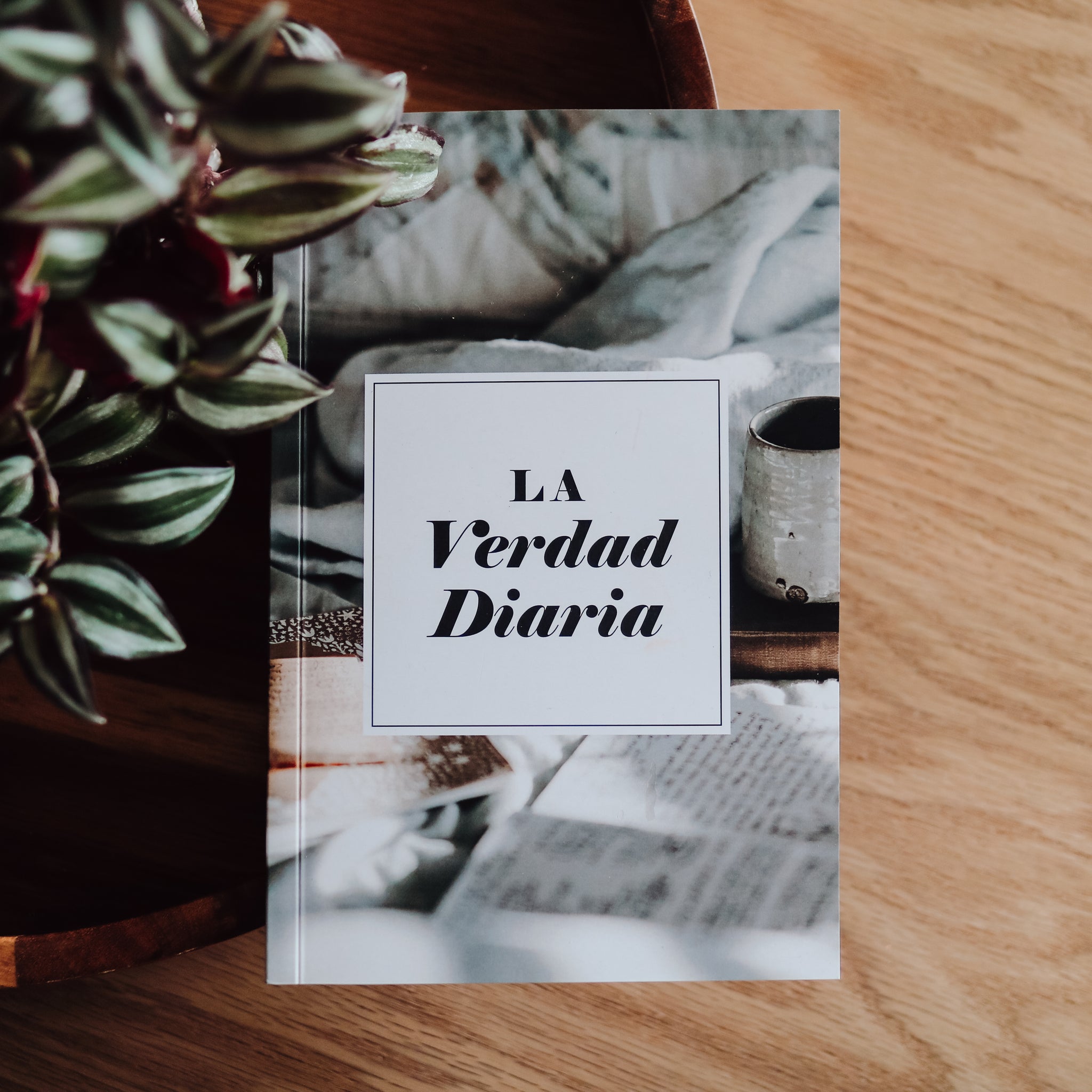La Verdad Diaria | Daily Truth Spanish Edition – The Daily Grace Co.