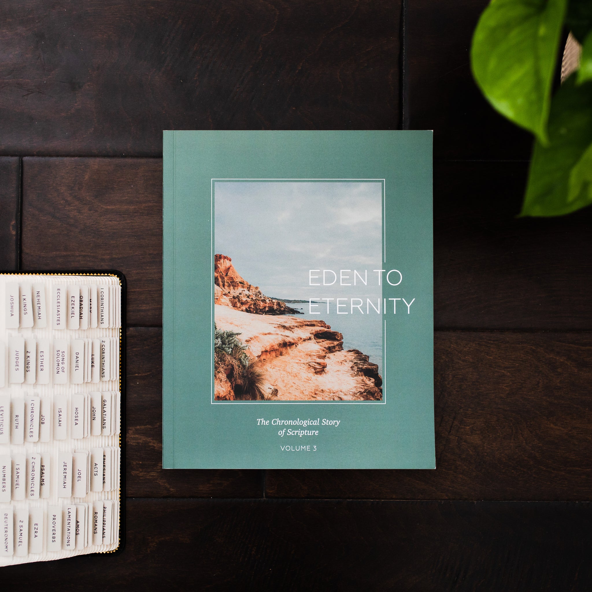 Eden to Eternity | The Chronological Story of Scripture | Volume 3 - M ...