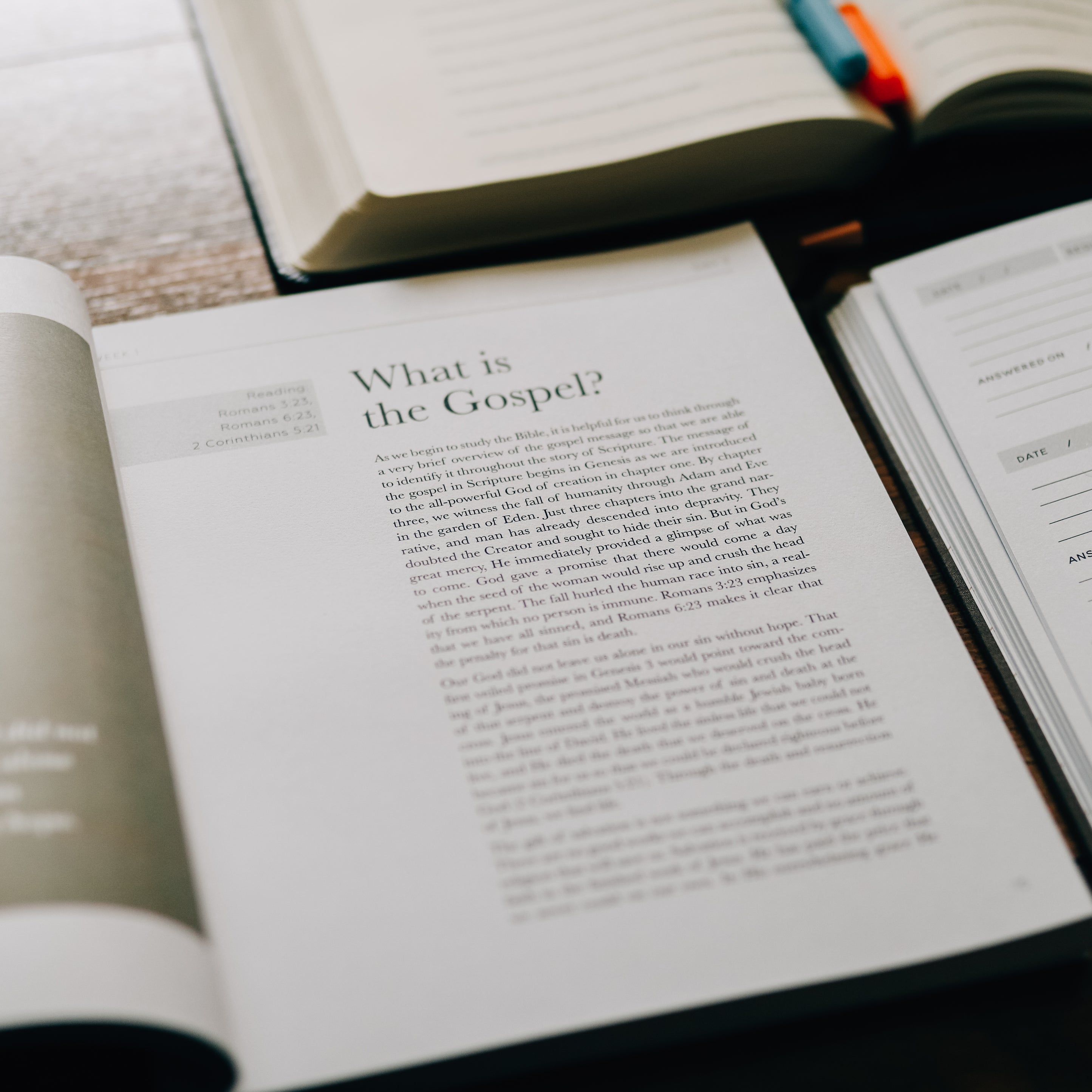 Search the Word | Study - Men – The Daily Grace Co.