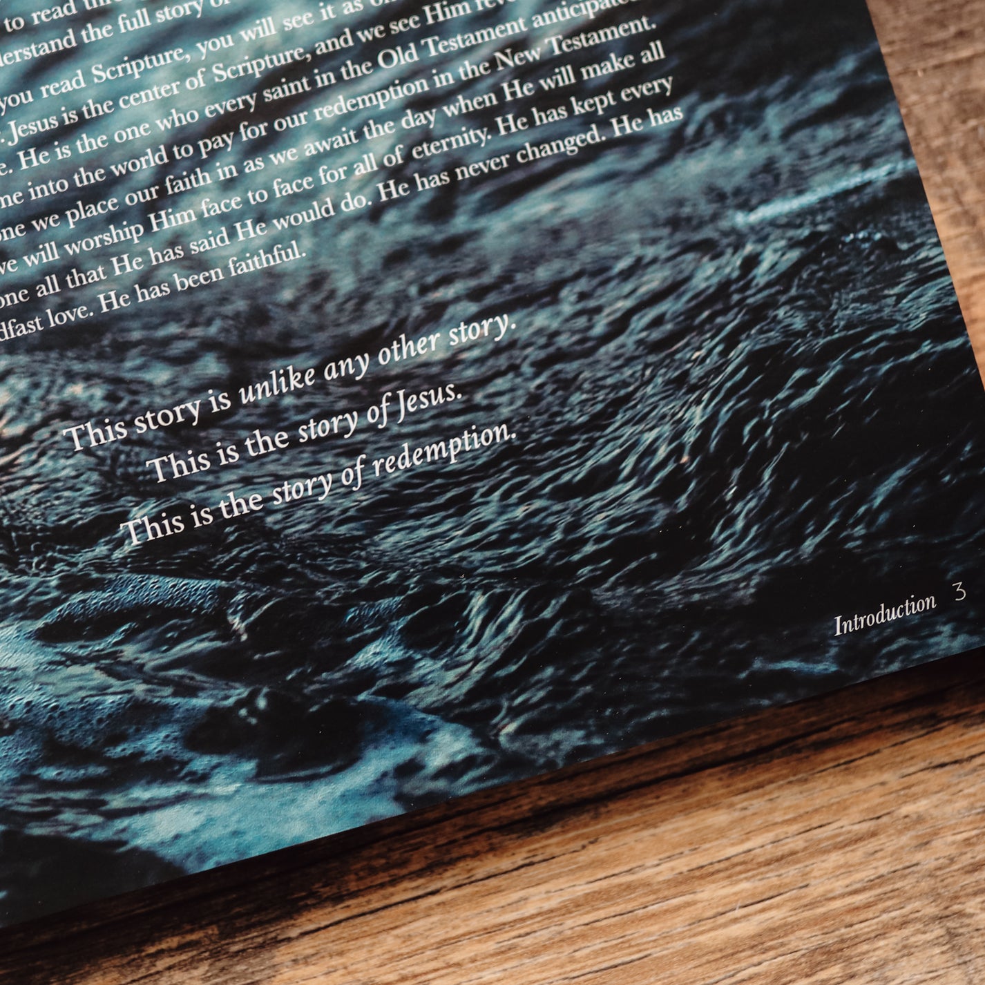 The Story of Redemption Vol. 1 - Men – The Daily Grace Co.