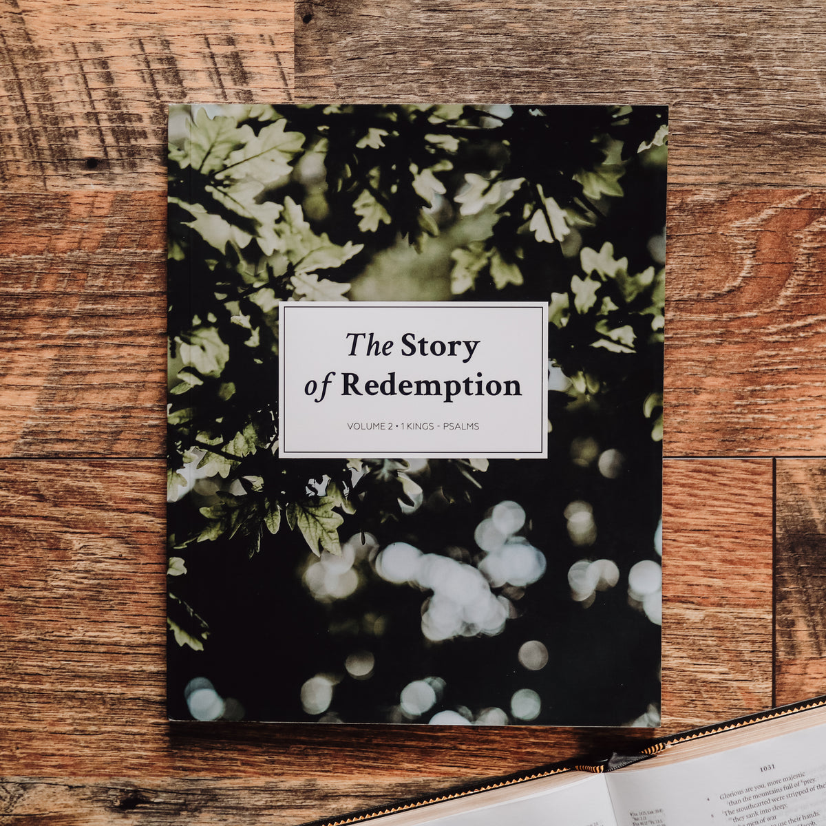 The Story of Redemption Vol. 2 - Men | TDGC – The Daily Grace Co.