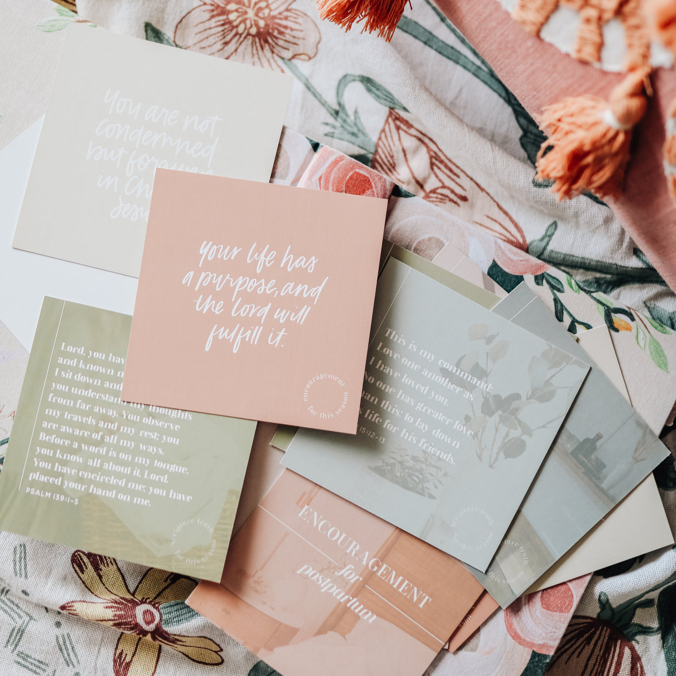 Encouragement for Postpartum Verse Card Set – The Daily Grace Co.