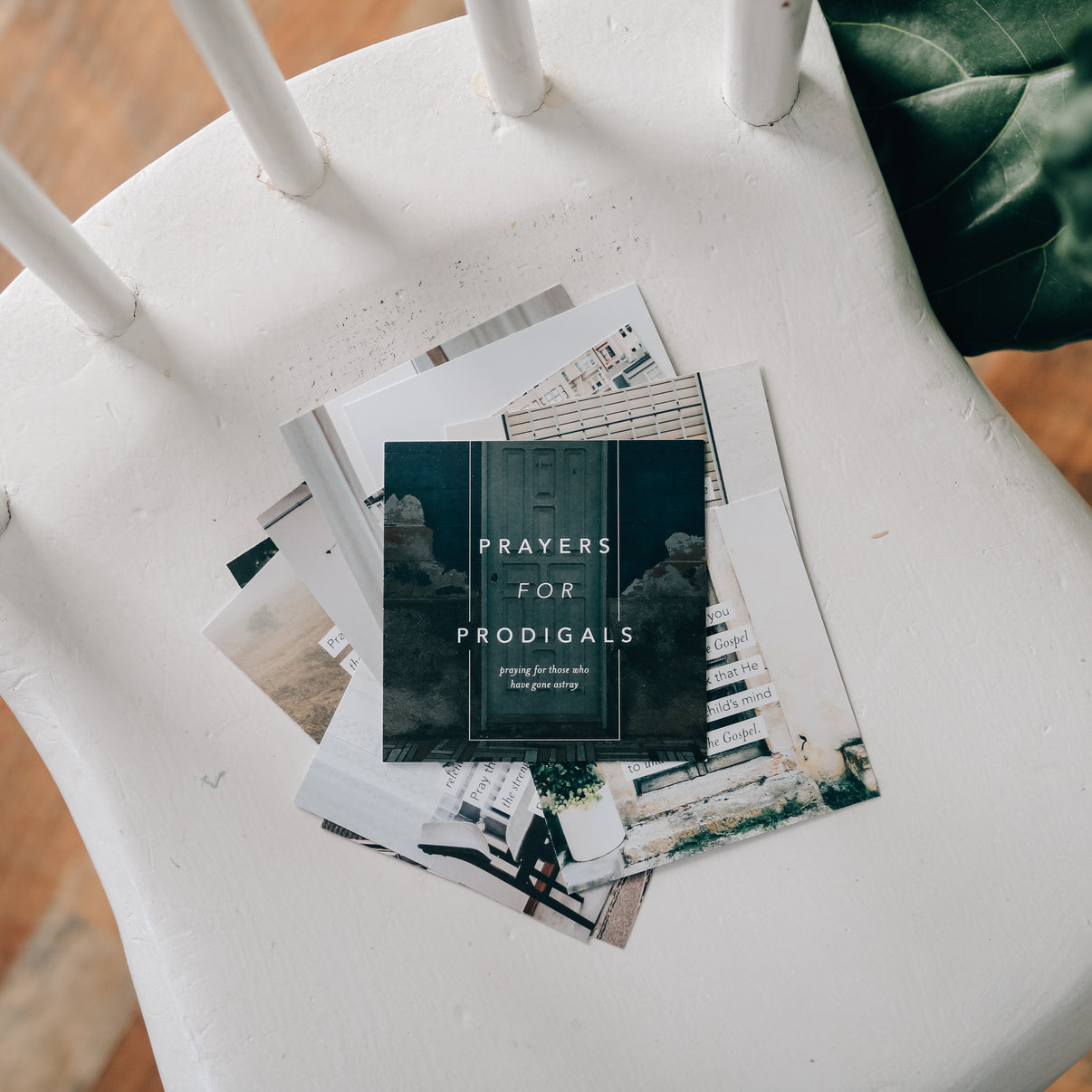 Prayers for Prodigals Verse Card Set – The Daily Grace Co.