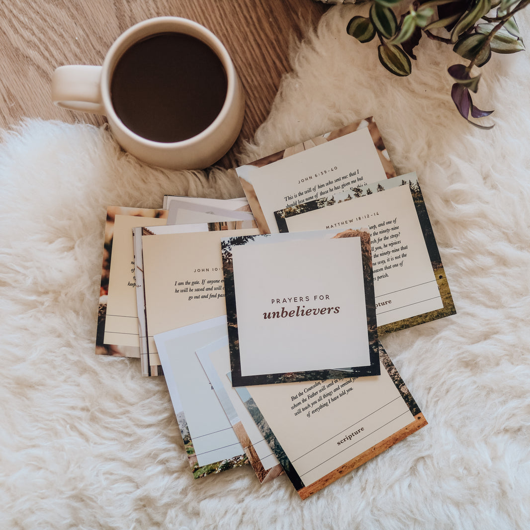 Verse Cards – The Daily Grace Co.