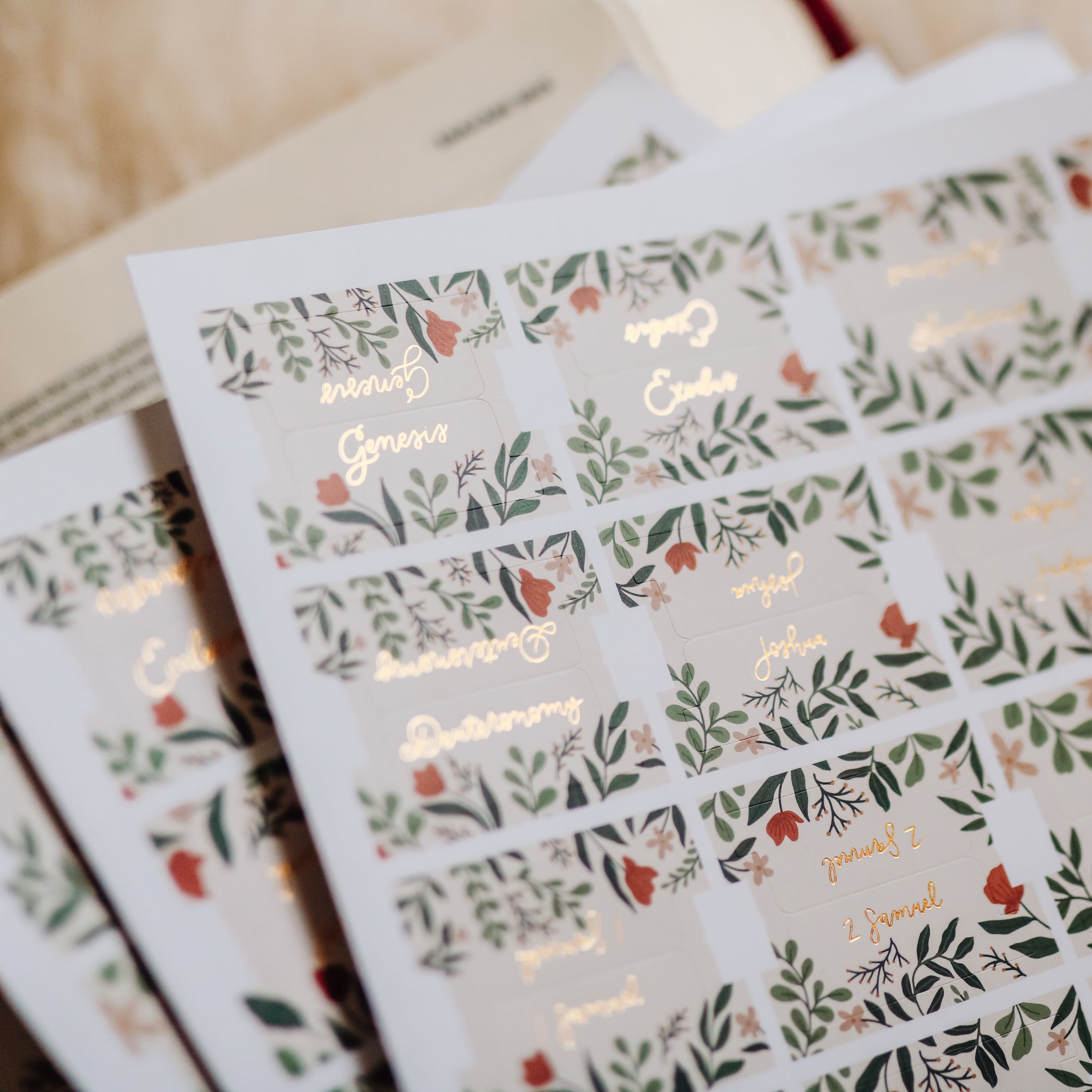 Rust Floral Bible Tabs – The Daily Grace Co.