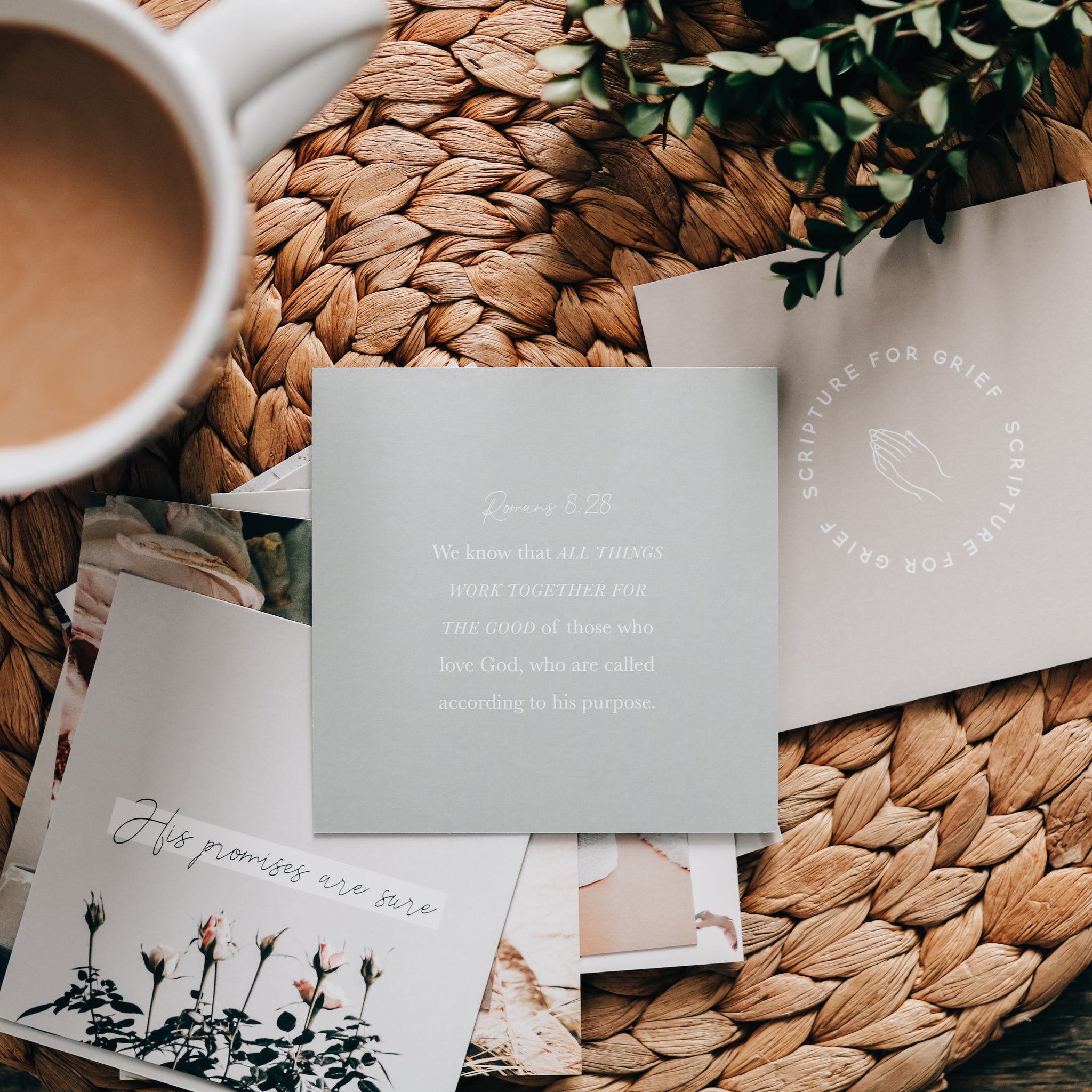 Scripture for Grief Verse Card Set – The Daily Grace Co.