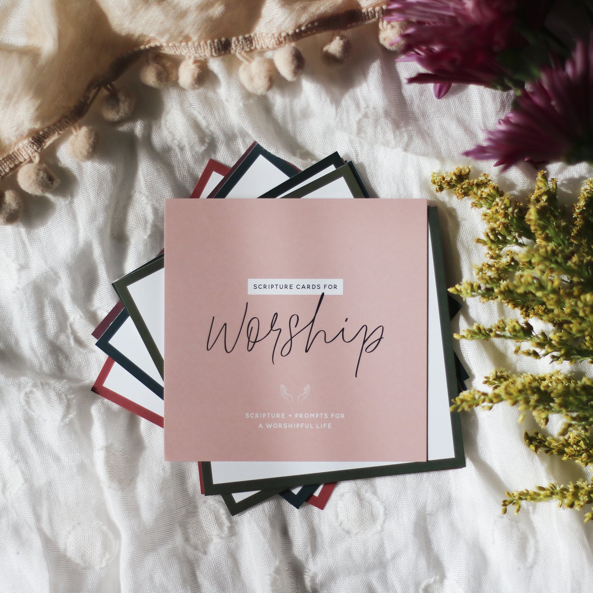 Scripture Cards for Worship – The Daily Grace Co.