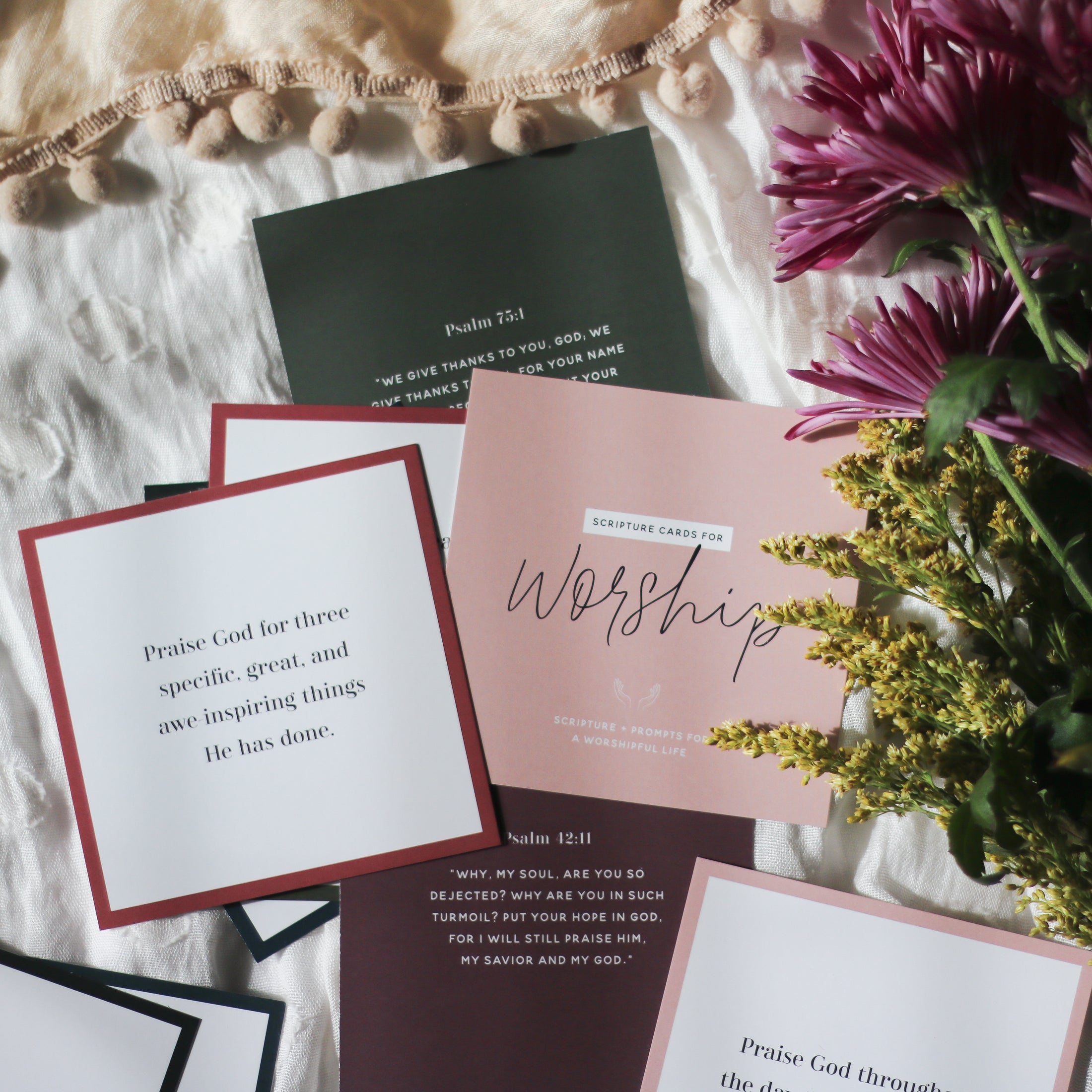 Scripture Cards for Worship – The Daily Grace Co.