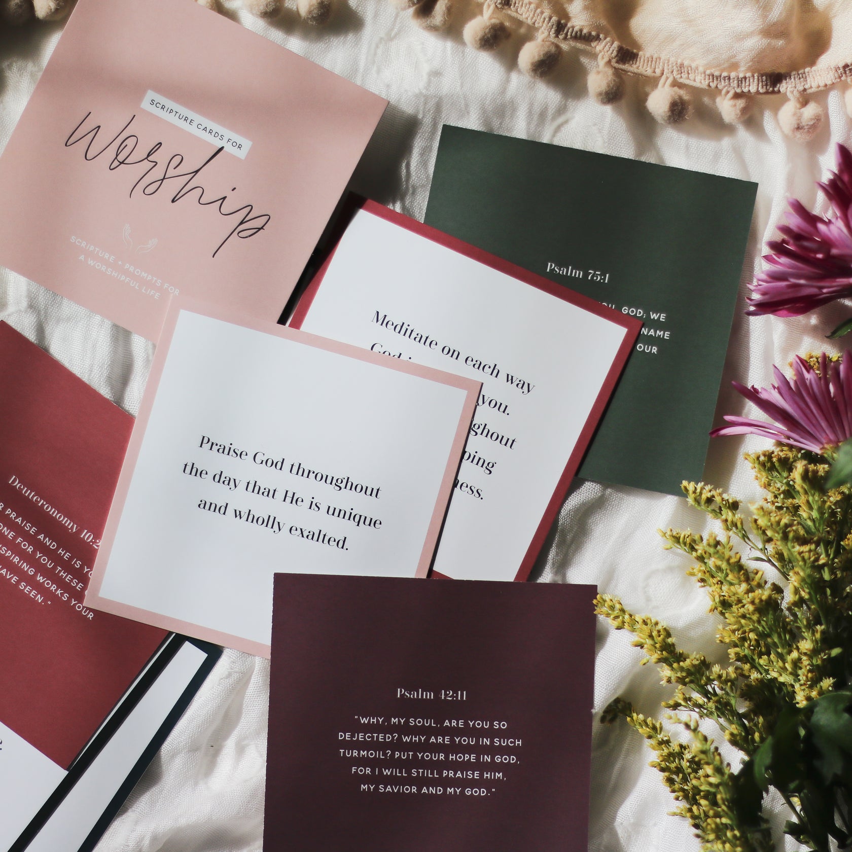 Scripture Cards for Worship – The Daily Grace Co.