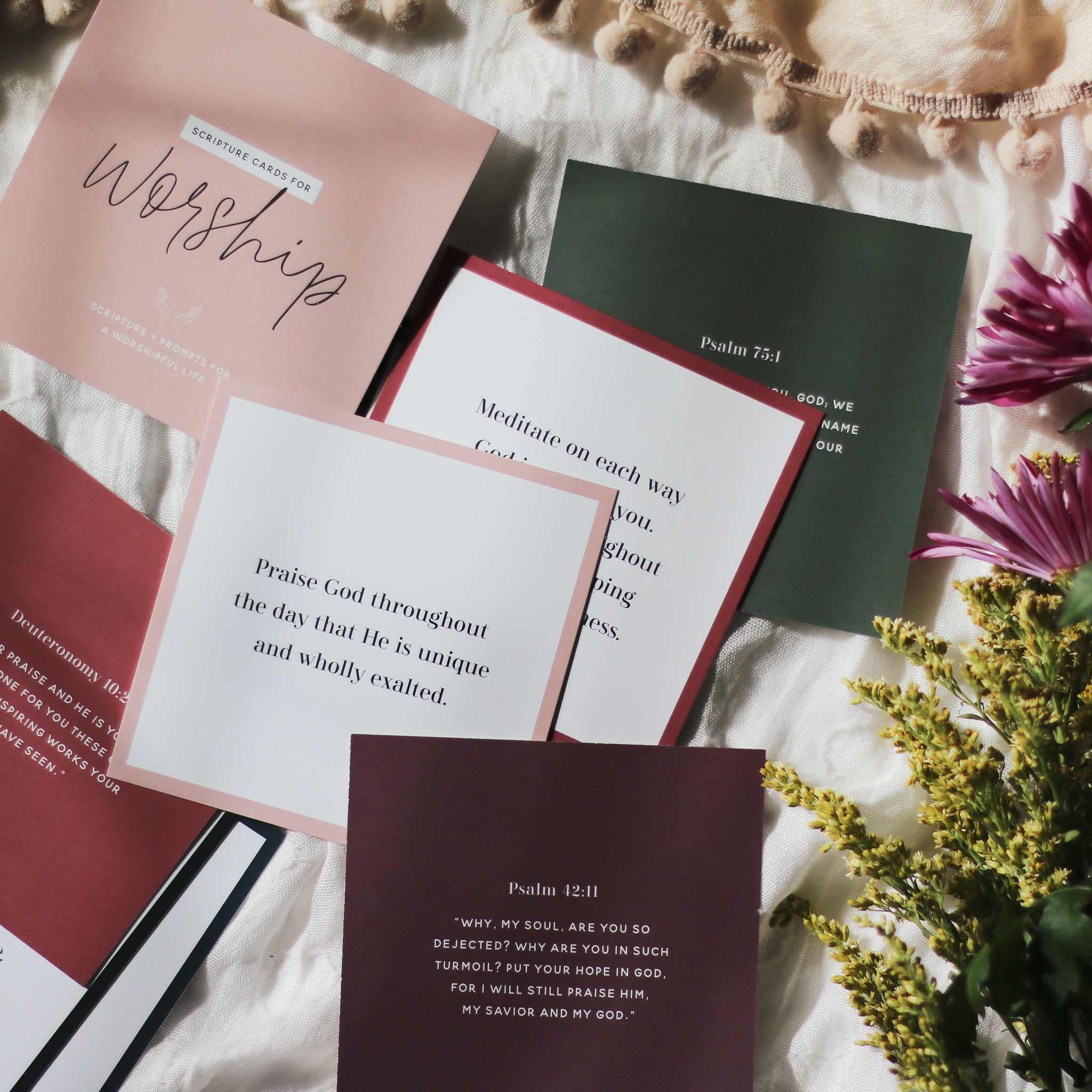 Scripture Cards for Worship – The Daily Grace Co.