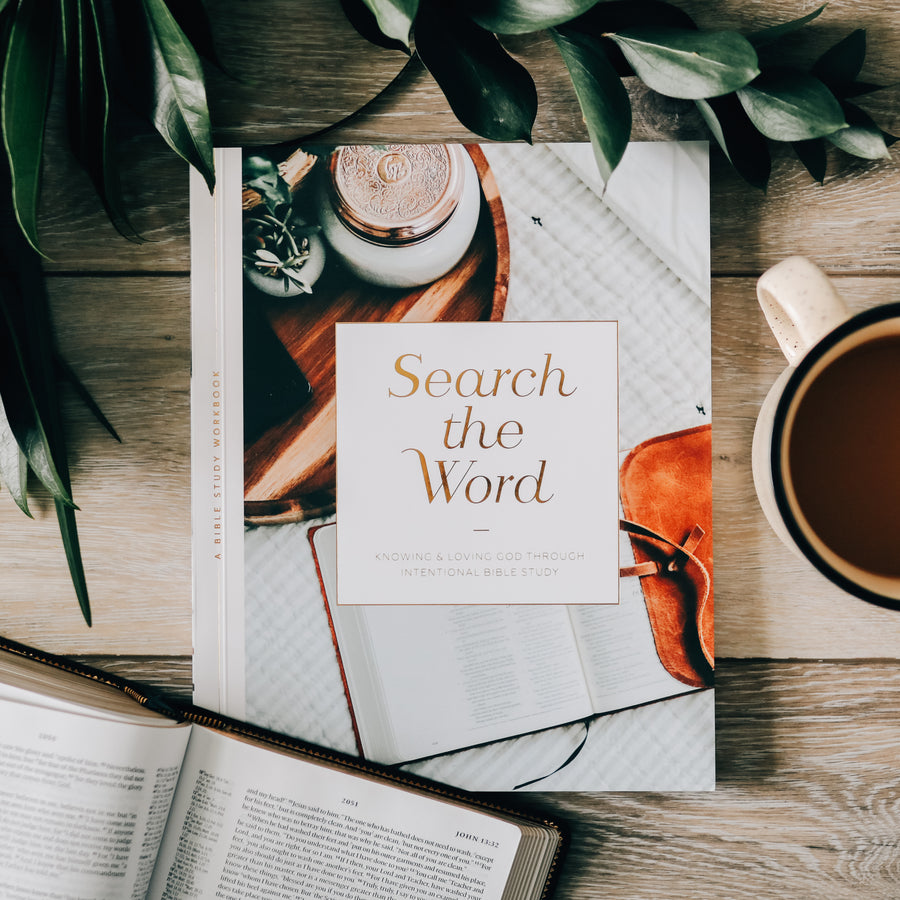Search the Word | Study – The Daily Grace Co.