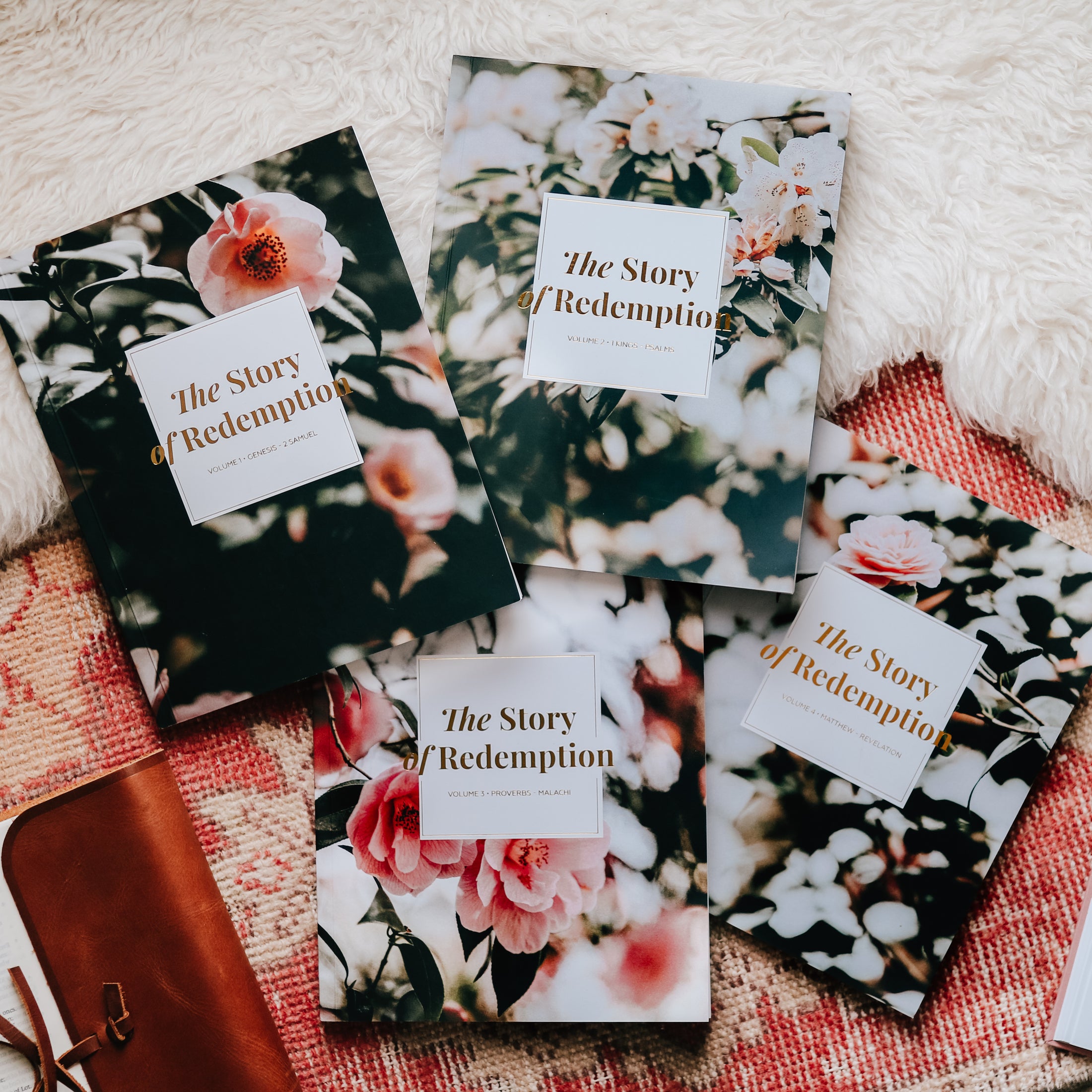 The Story of Redemption Study Bundle – The Daily Grace Co.