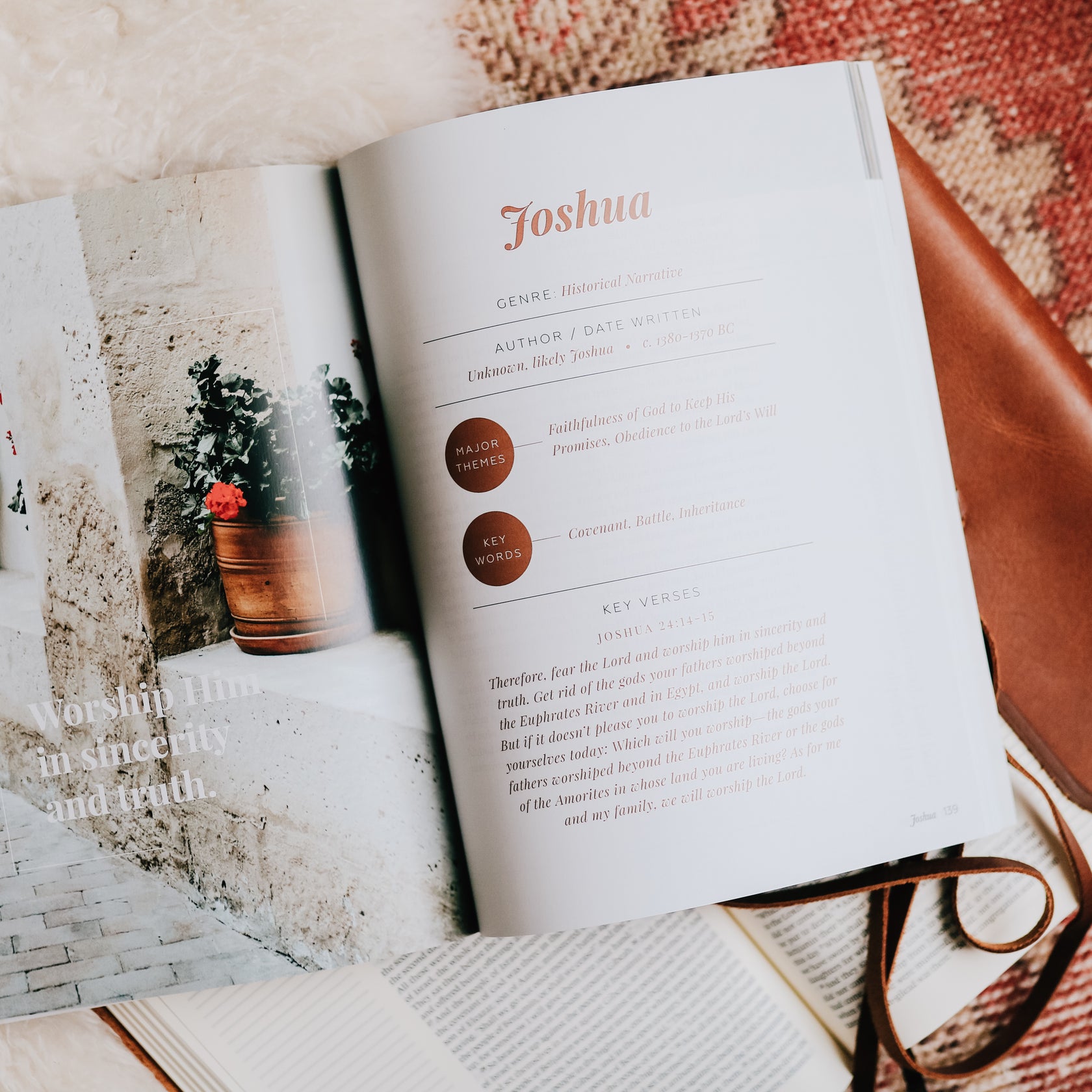 The Story of Redemption | Vol. 1 – The Daily Grace Co.