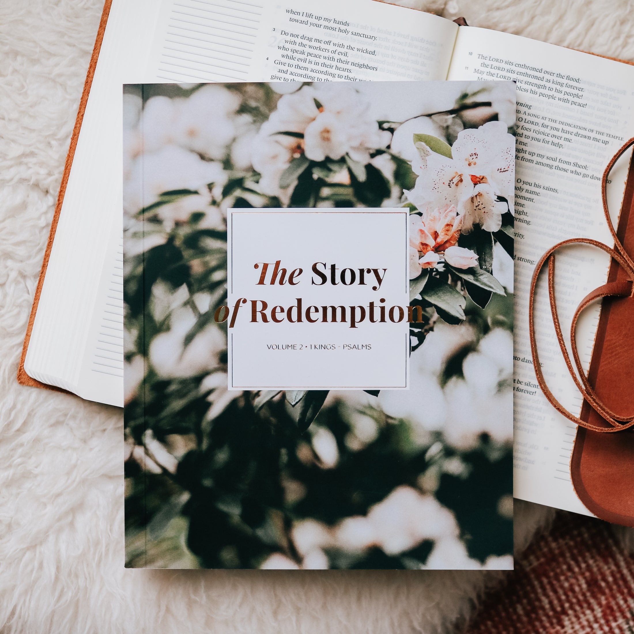 The Story of Redemption Study Bundle – The Daily Grace Co.