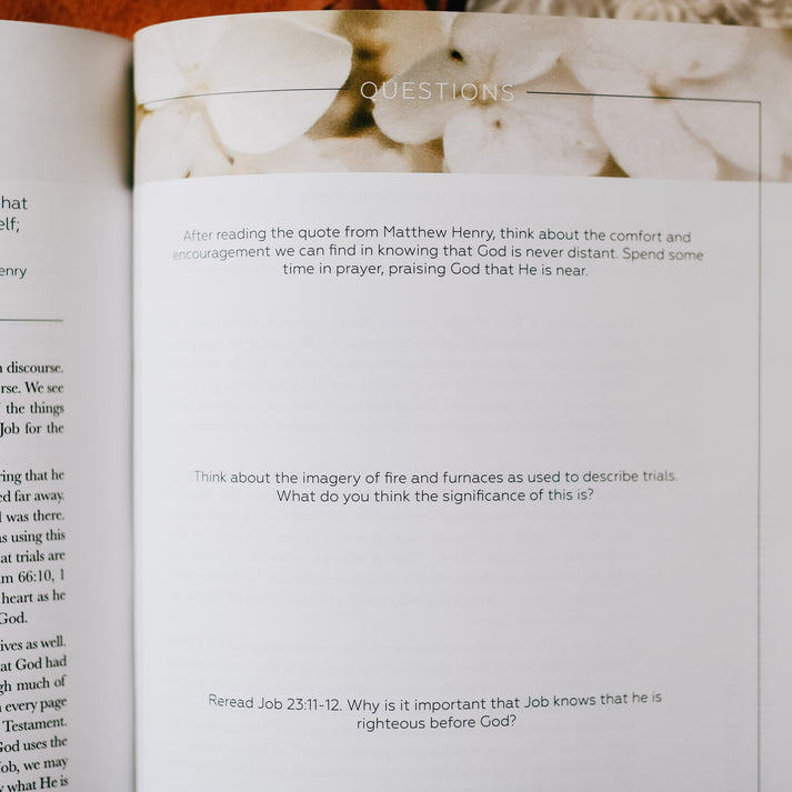 The Story of Redemption | Vol. 2 – The Daily Grace Co.