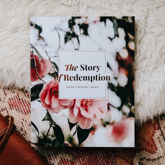 The Story of Redemption Bible Study Bundle | TDGC – The Daily Grace Co.