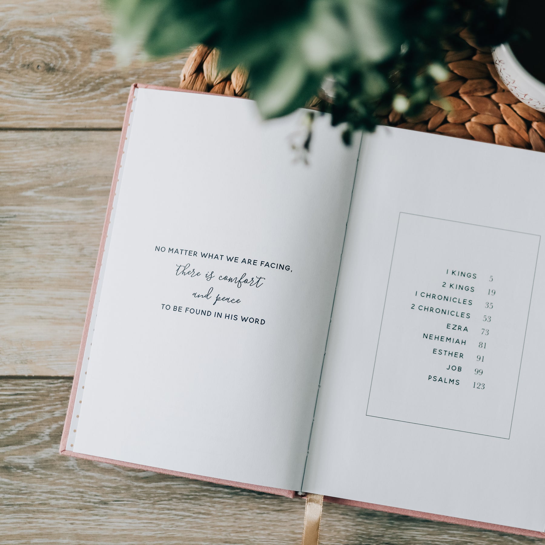 The Story of Redemption Journal Vol. 2 | TDGC – The Daily Grace Co.