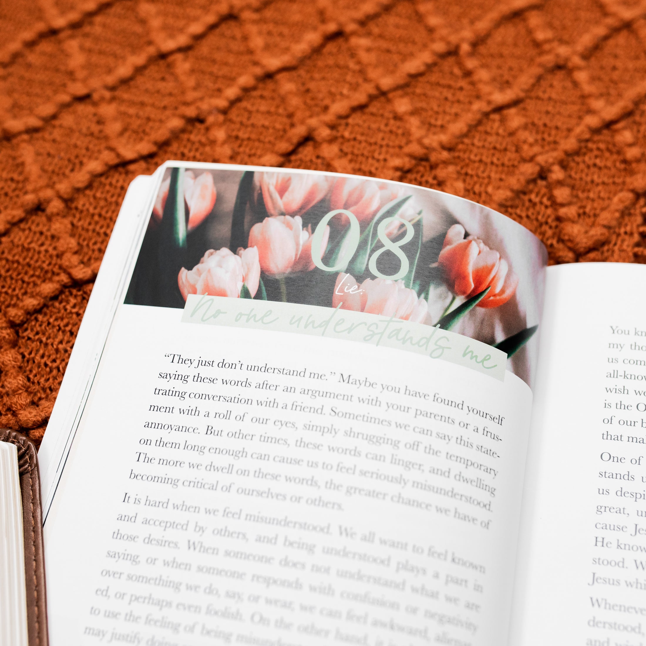 Thirty Truths for Common Lies for Teens – The Daily Grace Co.