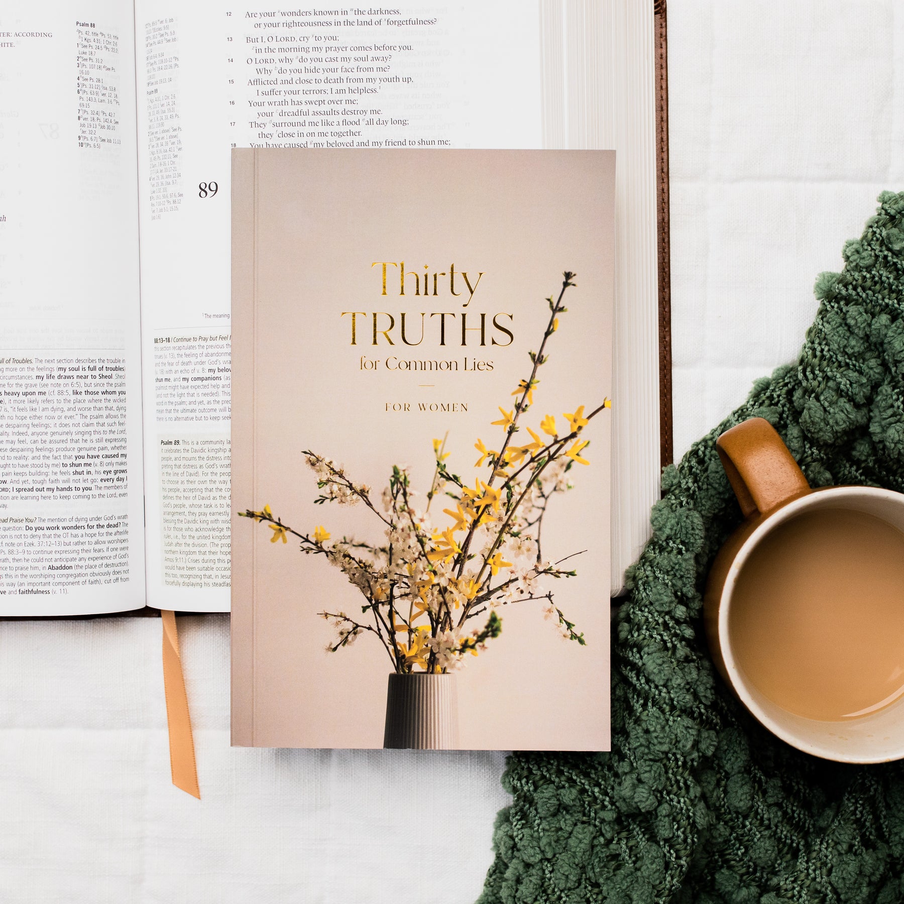 Thirty Truths for Common Lies for Women | TDGC – The Daily Grace Co.