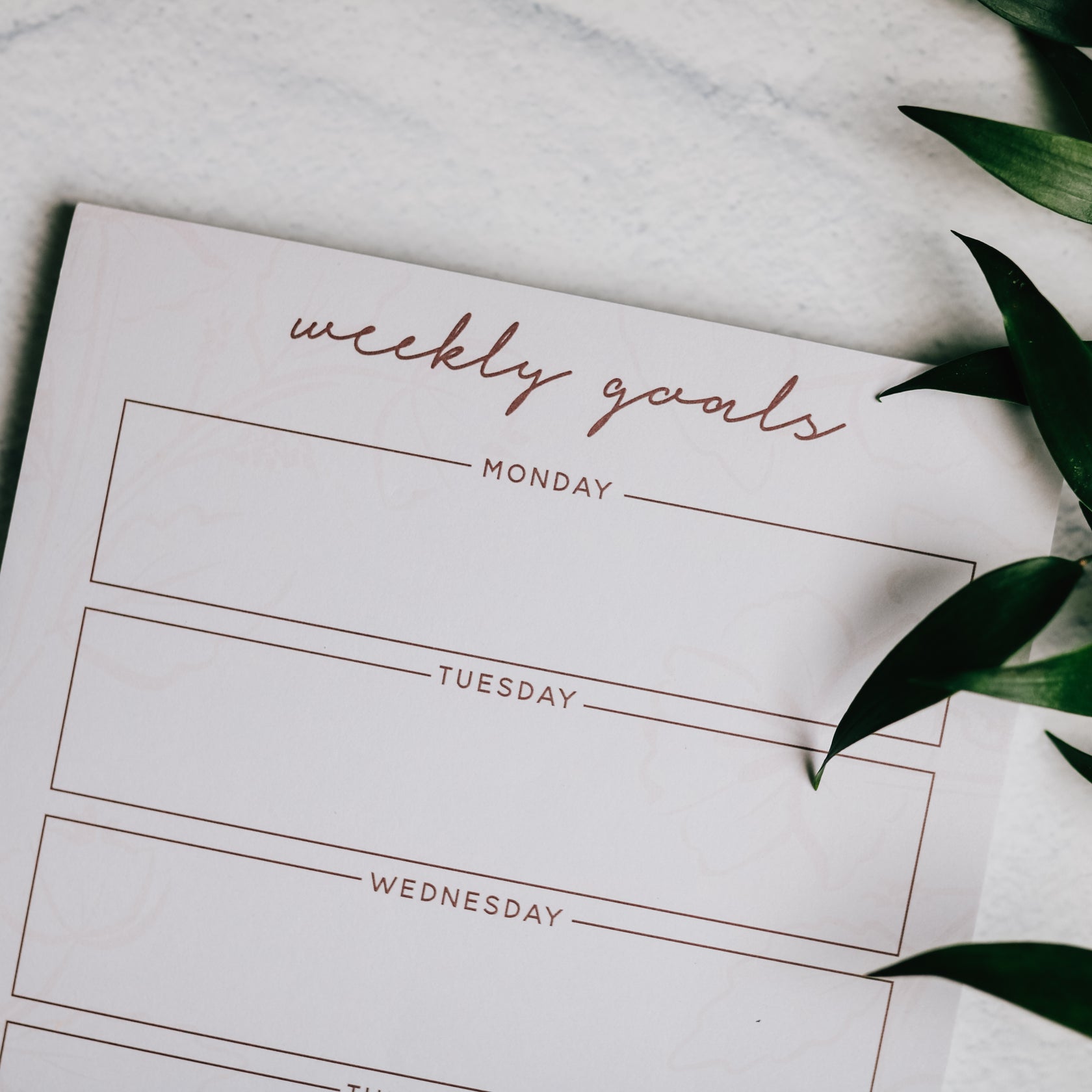 Weekly Goals Notepad - Blush Floral – The Daily Grace Co.